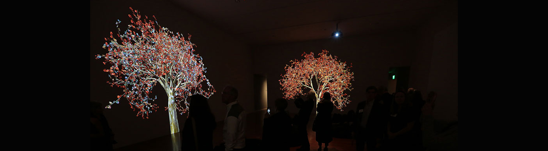 Jennifer Steinkamp - Fine Arts Center